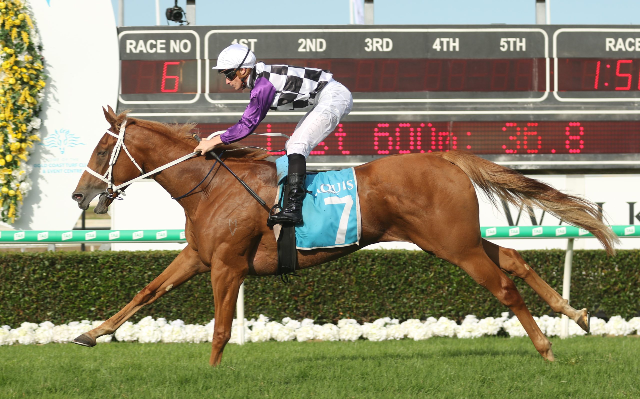 Racing tips - 27th August • PlayBook