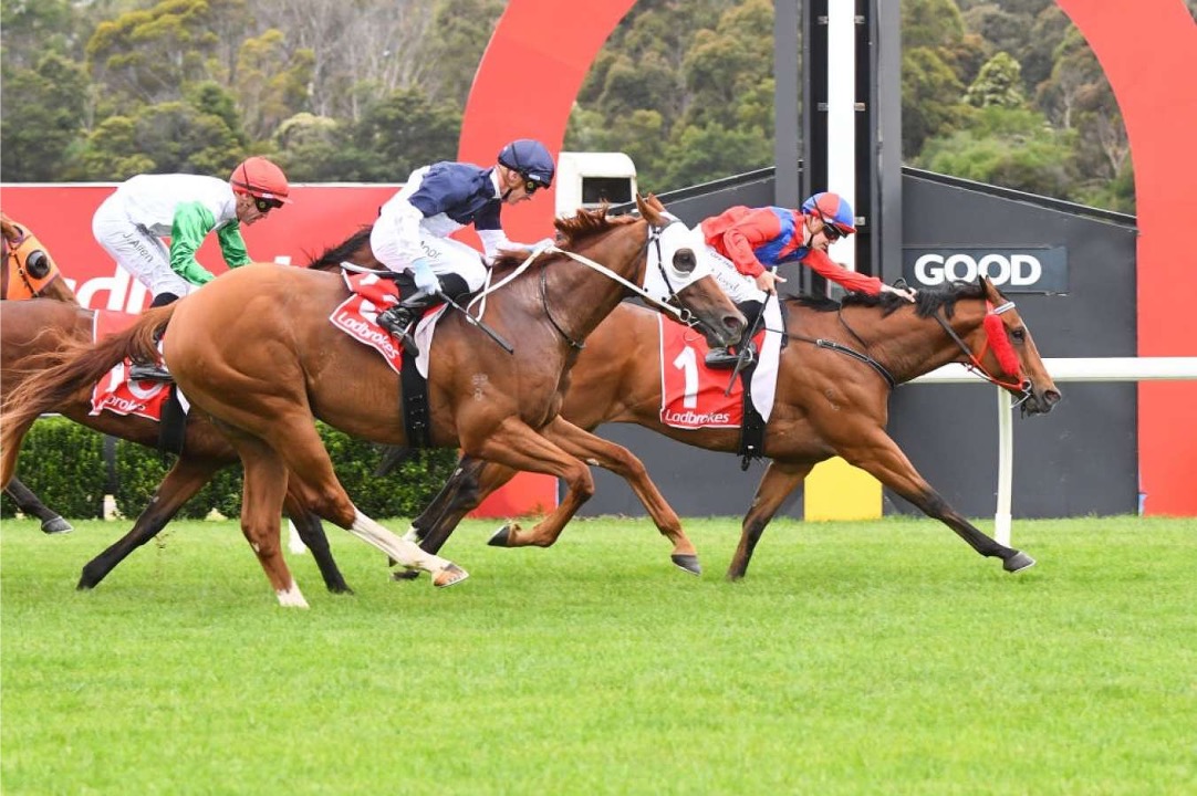 Betting Tournament Reviews, Sports & Racing Tips • PlayBook